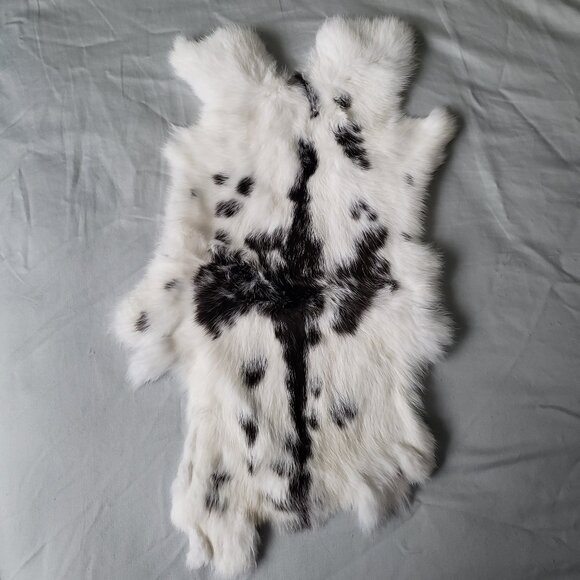 Other | Rabbit Pelt For Day Or Display | Poshmark